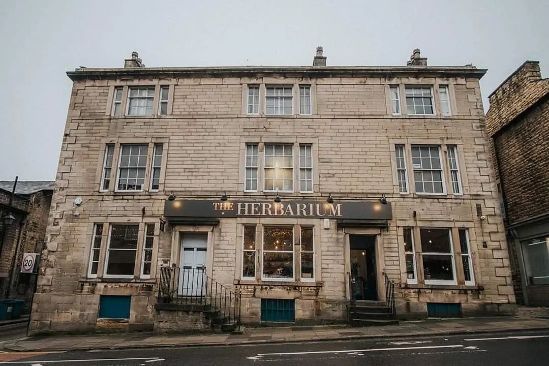 Cathy Chapman | Acupuncture & Mentoring